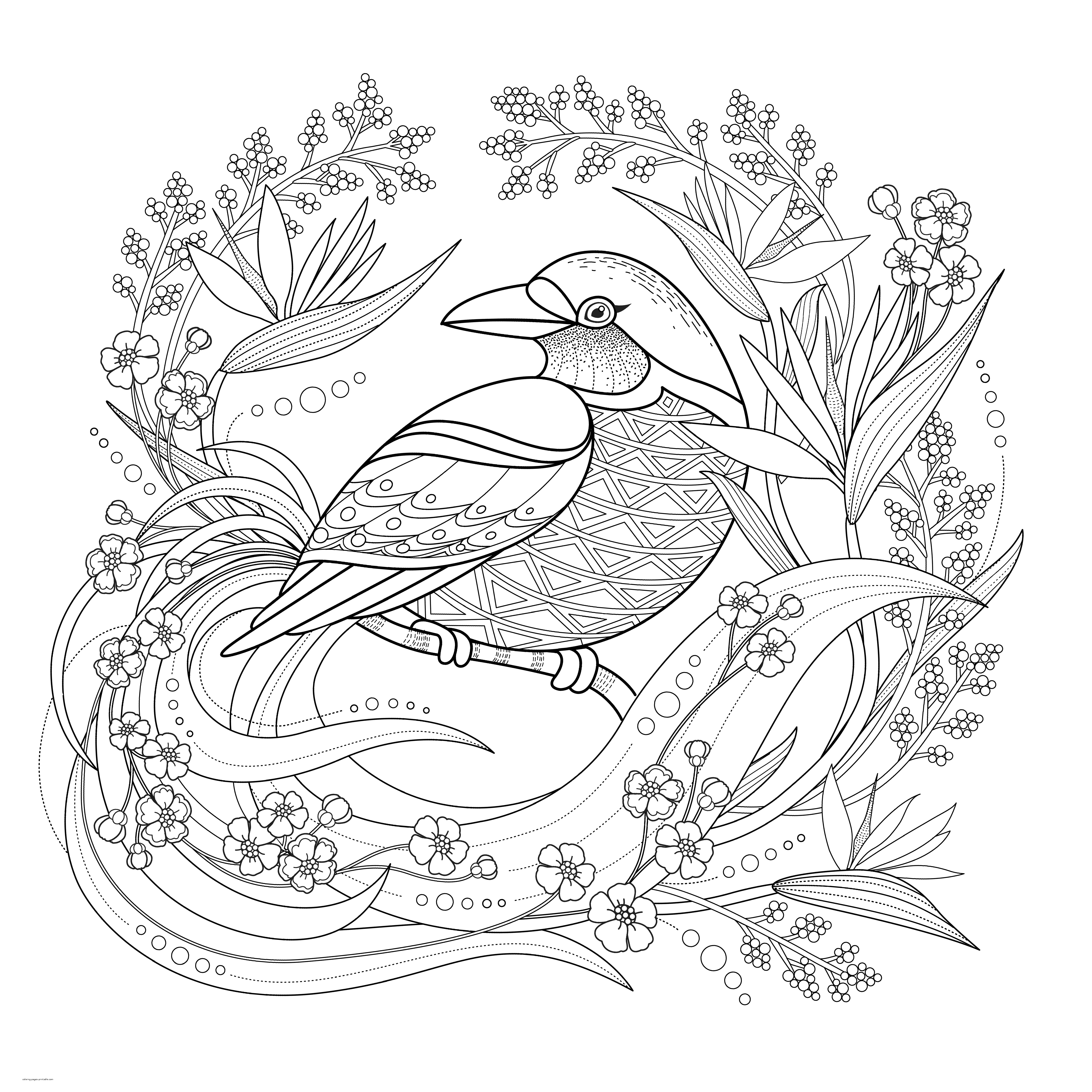 Extra Large Coloring Page Of A Bird COLORING PAGES PRINTABLE COM